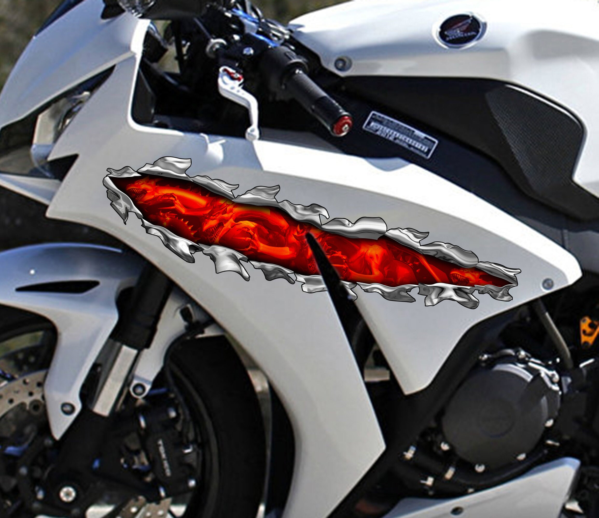 Dragons Ripped Metal Crotch Rocket Decal Lizard Full Color - Etsy