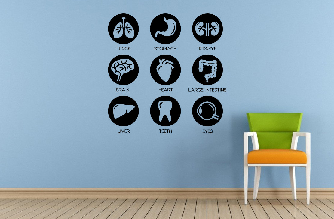 Human Anatomy Living Organs Health Life Window Or Wall Or Car | Etsy