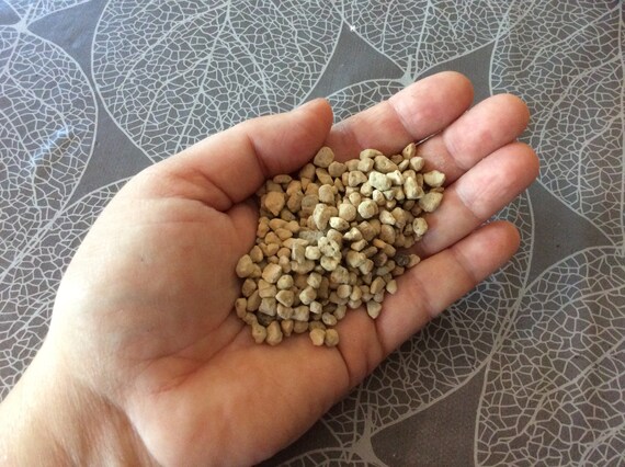 Pumice Pumice Stone 3 to 6 Mm for Cuttings Cacti and - Etsy