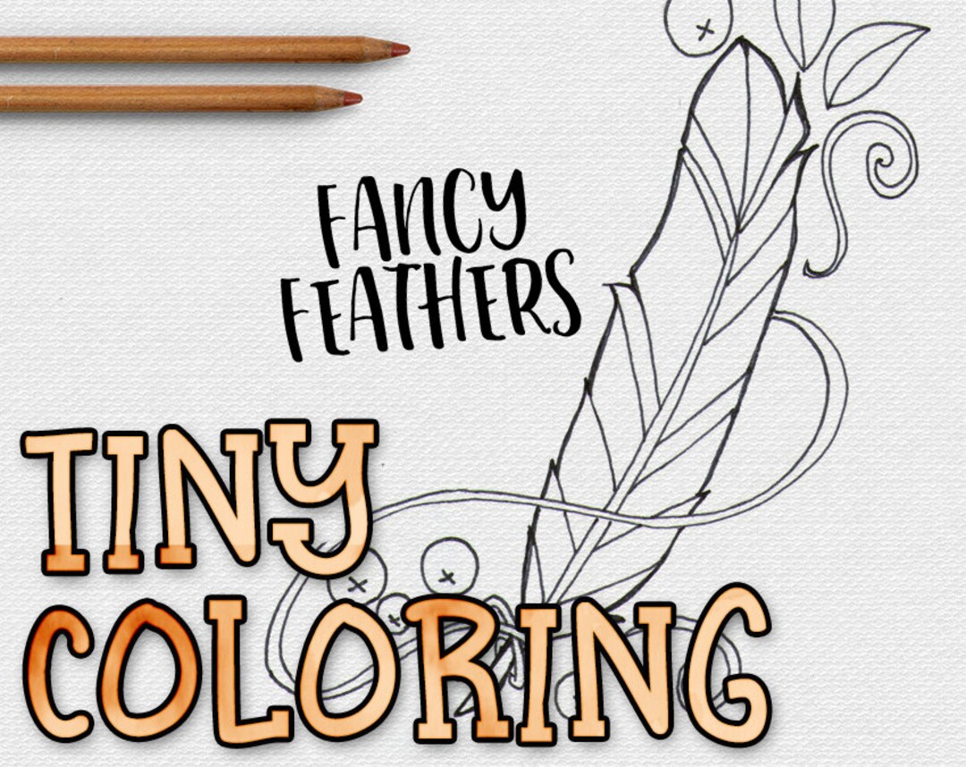 DIY Mini Zine Coloring Book - Boho Feathers - Coloring Book - Printable ...