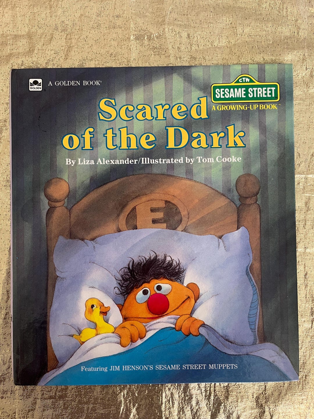 Vintage Sesame Street Bert and Ernie Scared of the Dark Golden Book - Etsy