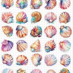 50 Dreamy Shell Stickers in Soft Pastels, High Quality Decal Craft ...