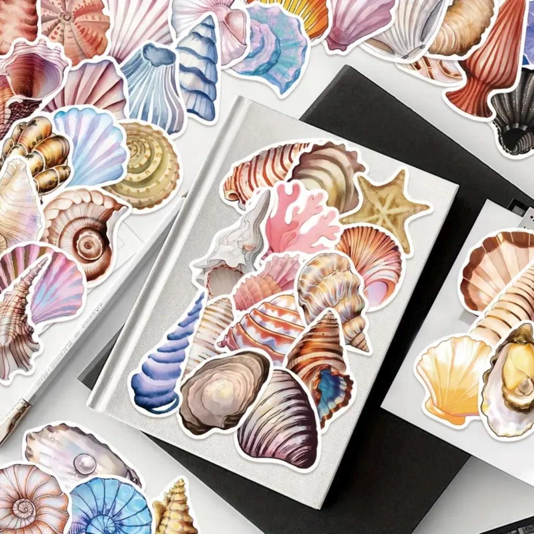 50 Beautiful Seashell Stickers With Soft Coloring, High Quality Decal ...