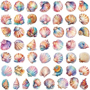 50 Dreamy Shell Stickers in Soft Pastels, High Quality Decal Craft ...