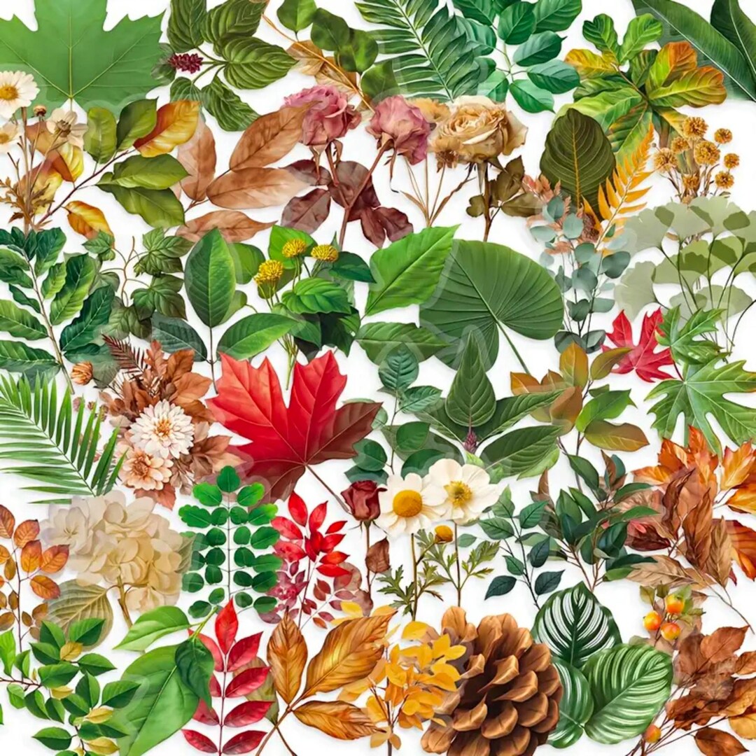 50 Nature-inspired Stickers | Autumn Leaves and Flowers | Water ...