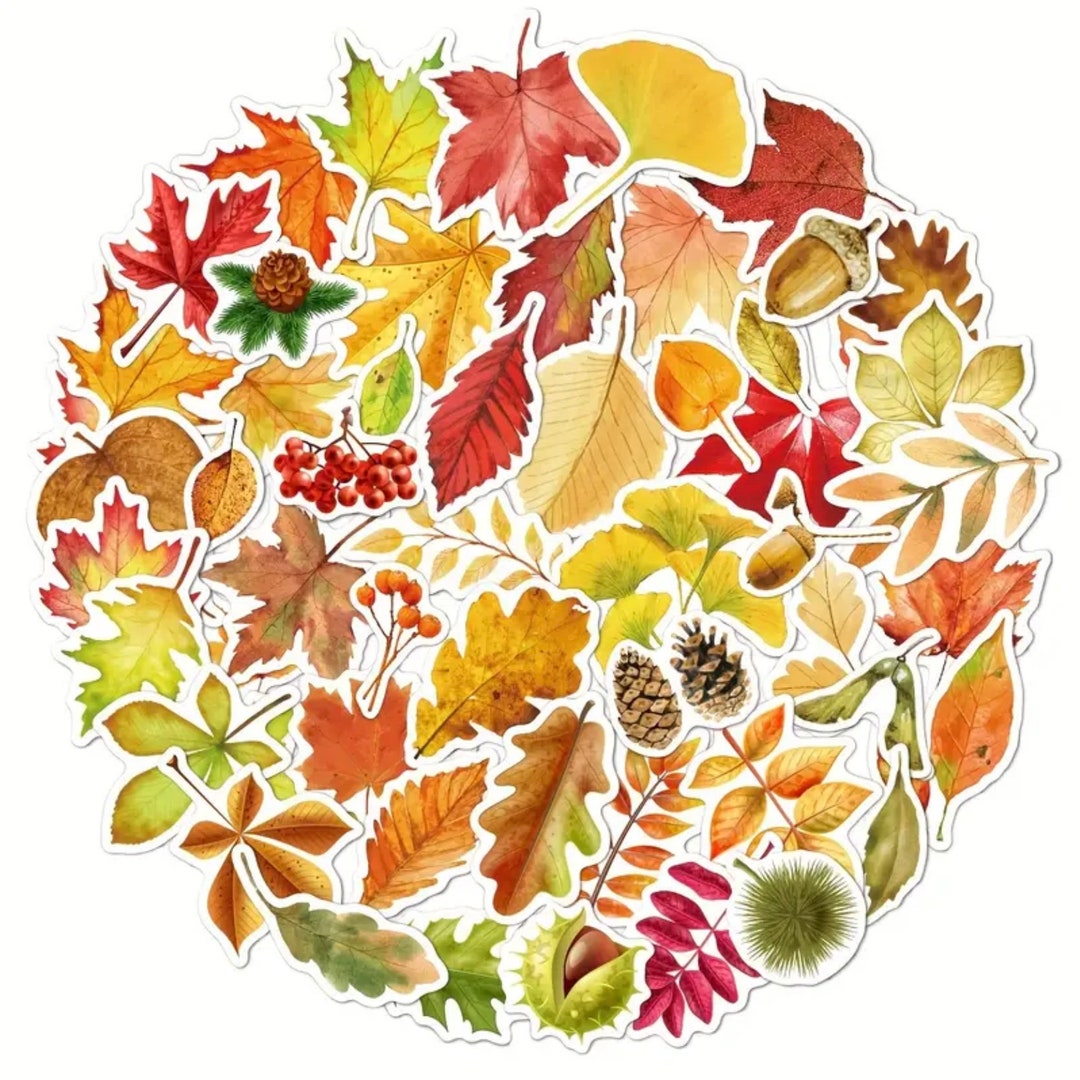 50 Fall Medley Stickers, With Acorns, Nuts and Berries, High Quality ...