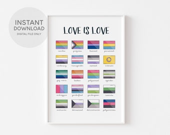 Pride Flags Poster with Meanings 42 Ways to Love - Etsy Canada