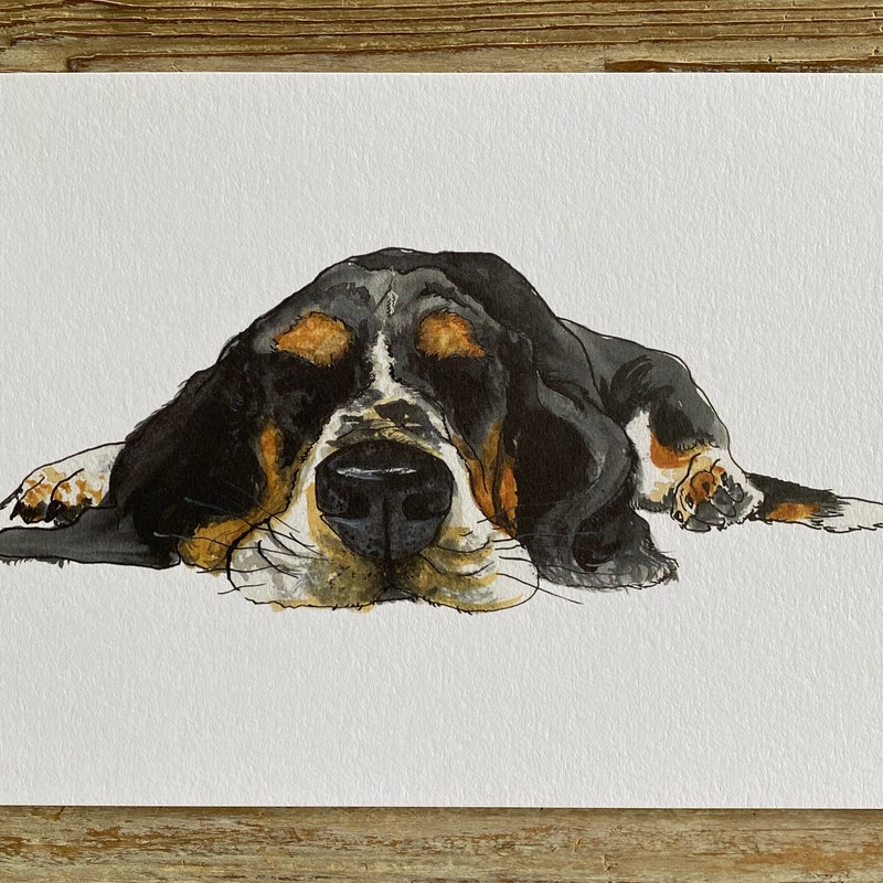 Basset Hound Print - Etsy
