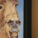 Homer the Donkey: Original Oil Painting, 20x10 Framed Canvas - Etsy