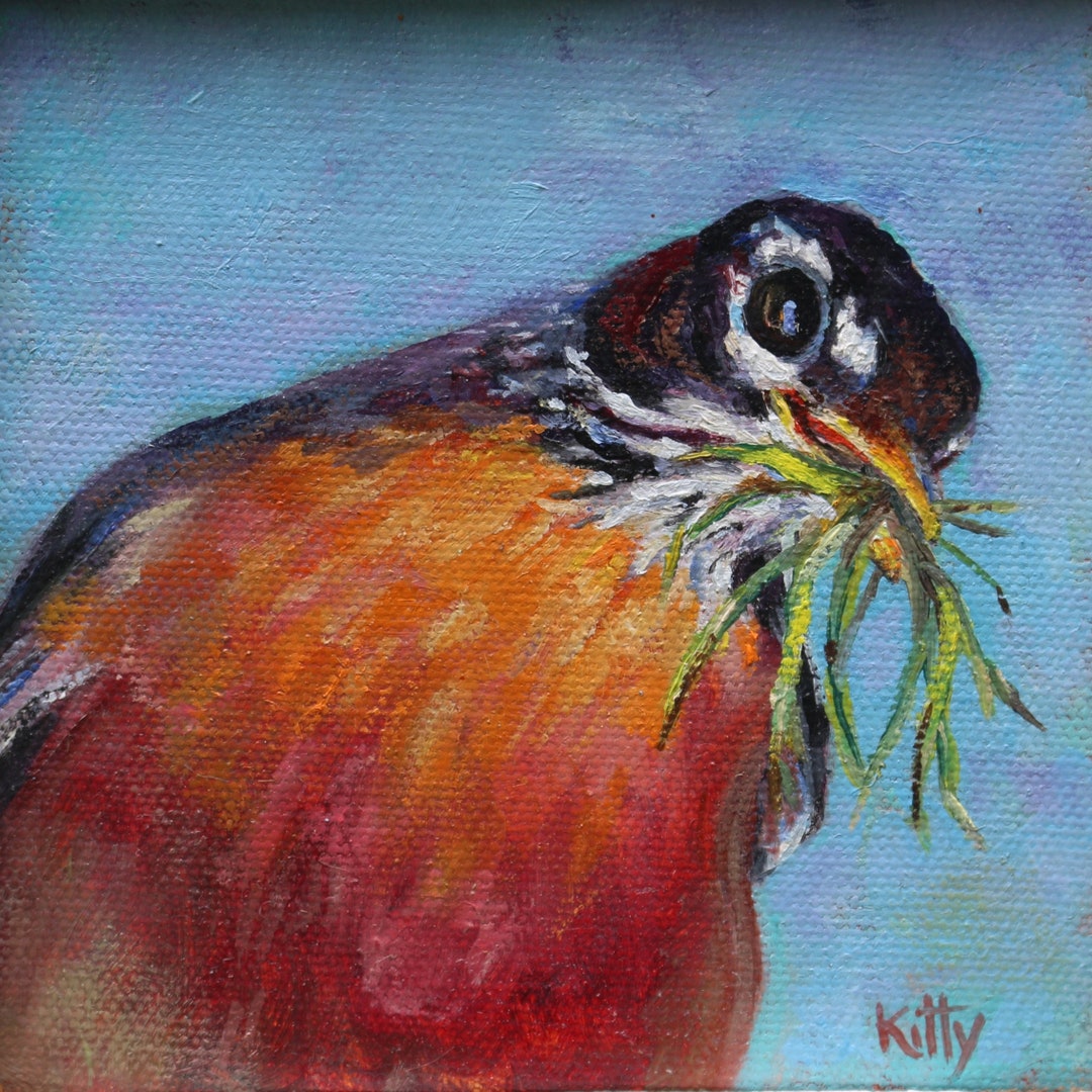Robin, Bird Portrait, Robin Redbreast - Etsy