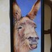 Homer the Donkey: Original Oil Painting, 20x10 Framed Canvas - Etsy