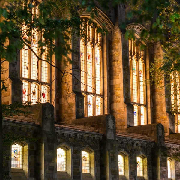 University of Michigan - Etsy