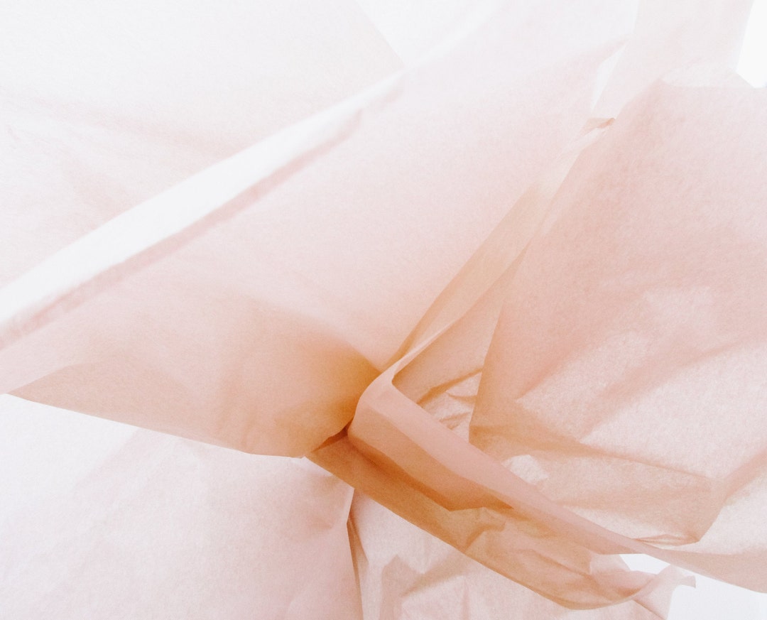Rosa de papel tisú, hojas grandes plegadas, papel de regalo, embalaje ...