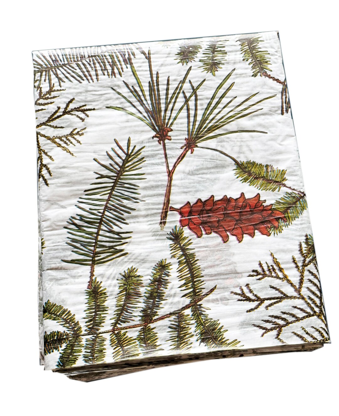 Tissue Paper Evergreen, 10 Large Folded Sheets, Christmas Wrapping ...