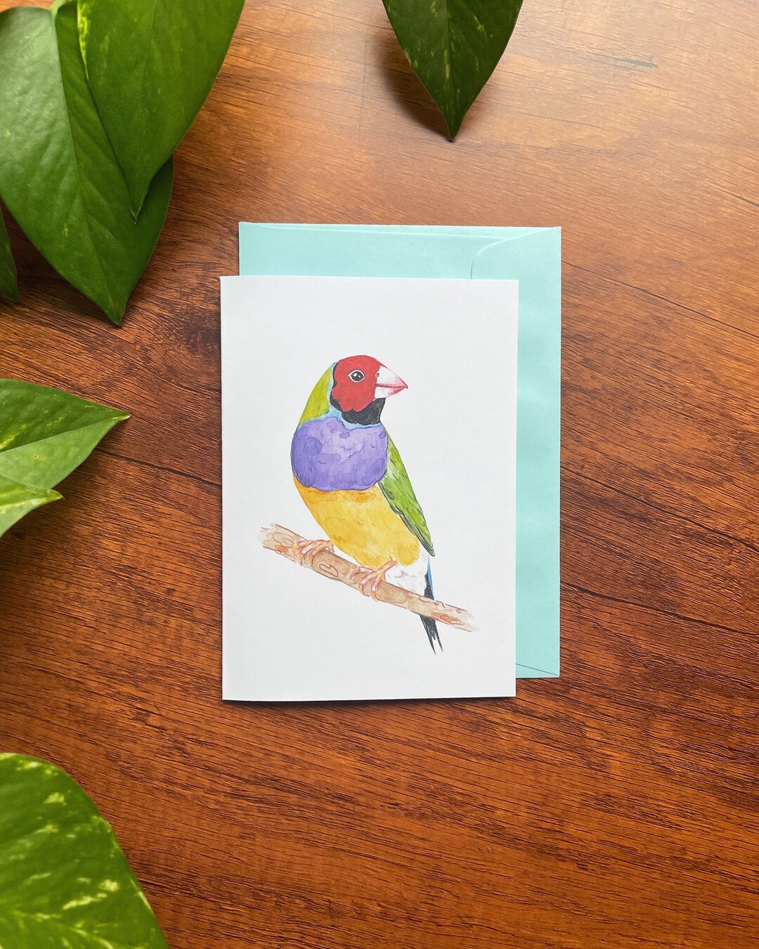 Gouldian Finch Card - Etsy