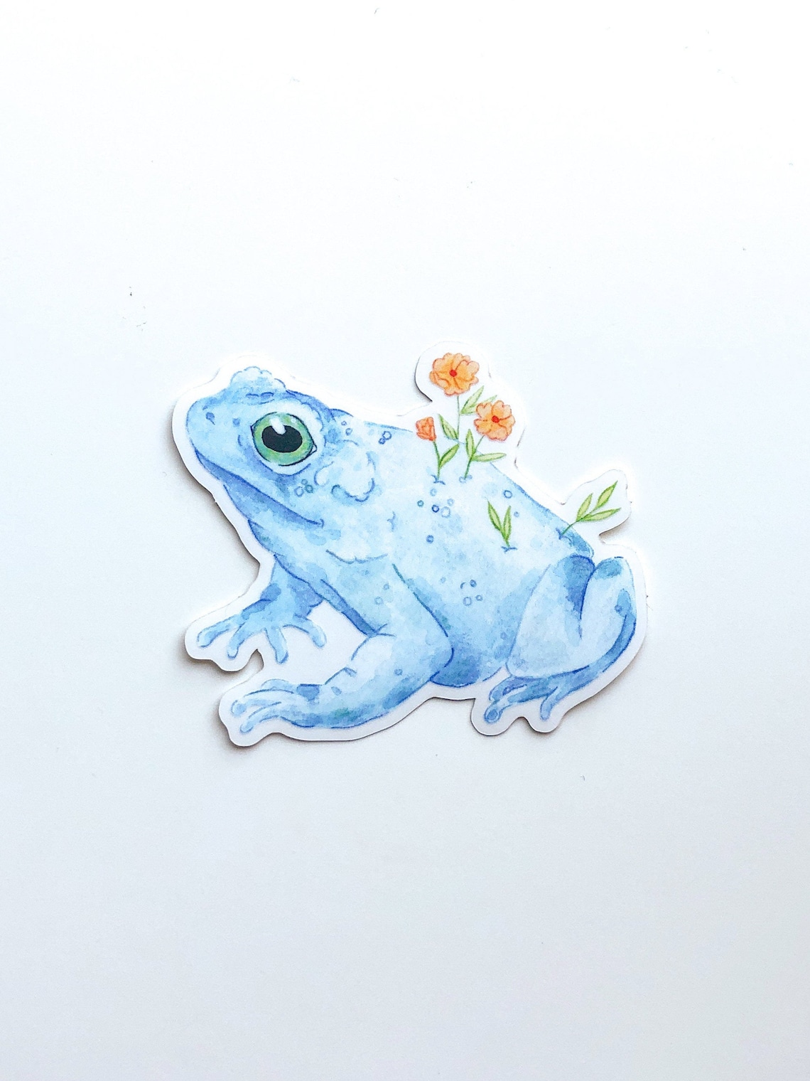 Blue Toad Clear Sticker - Etsy Australia