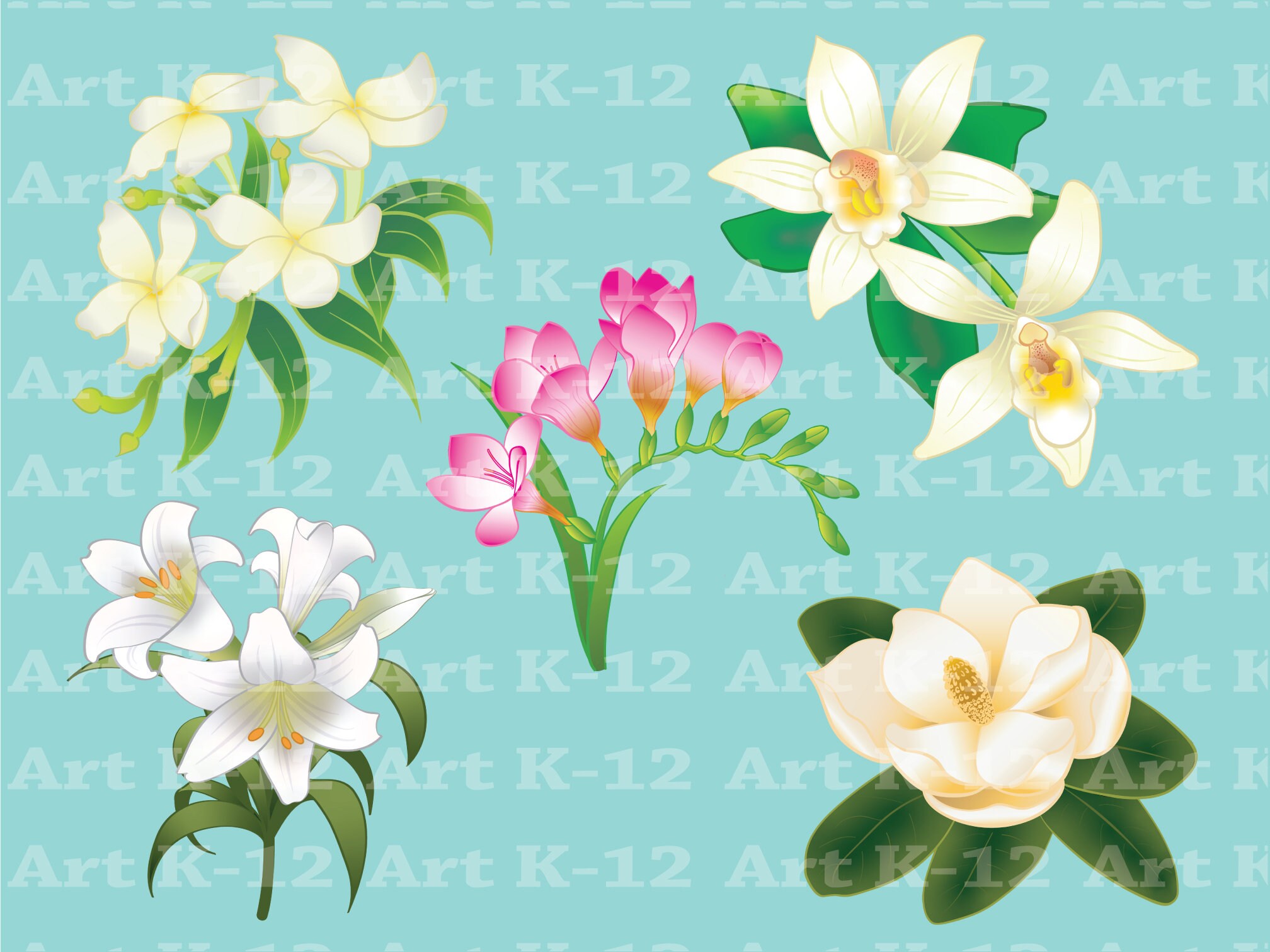 Fragrant Flowers Clipart Commercial or Personal Use - Etsy