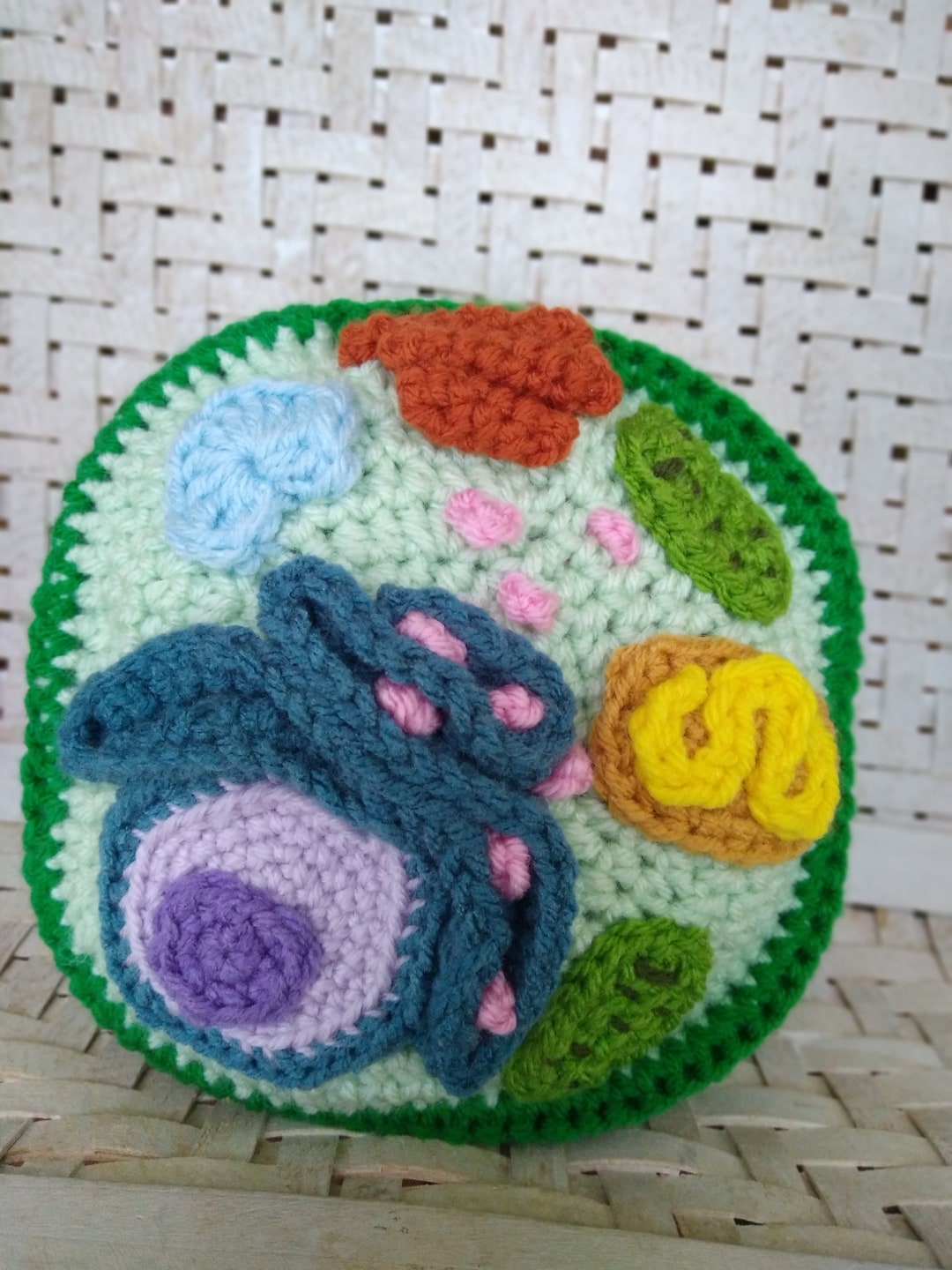 Plant Cell Crocheted Plant Cell Pillow Diorama Plant Cell Teacher Help ...
