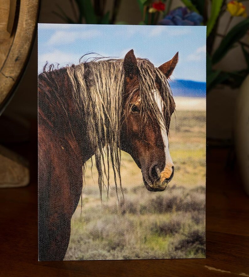 5X7 Canvas Prints Cvs Img wimg 5X7 Canvas Prints Cvs Img wimg