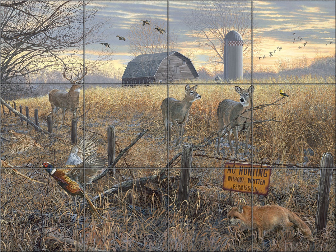 Behind the Barn by Scot Storm Tile Mural Backsplash, Kitchen Home Décor ...