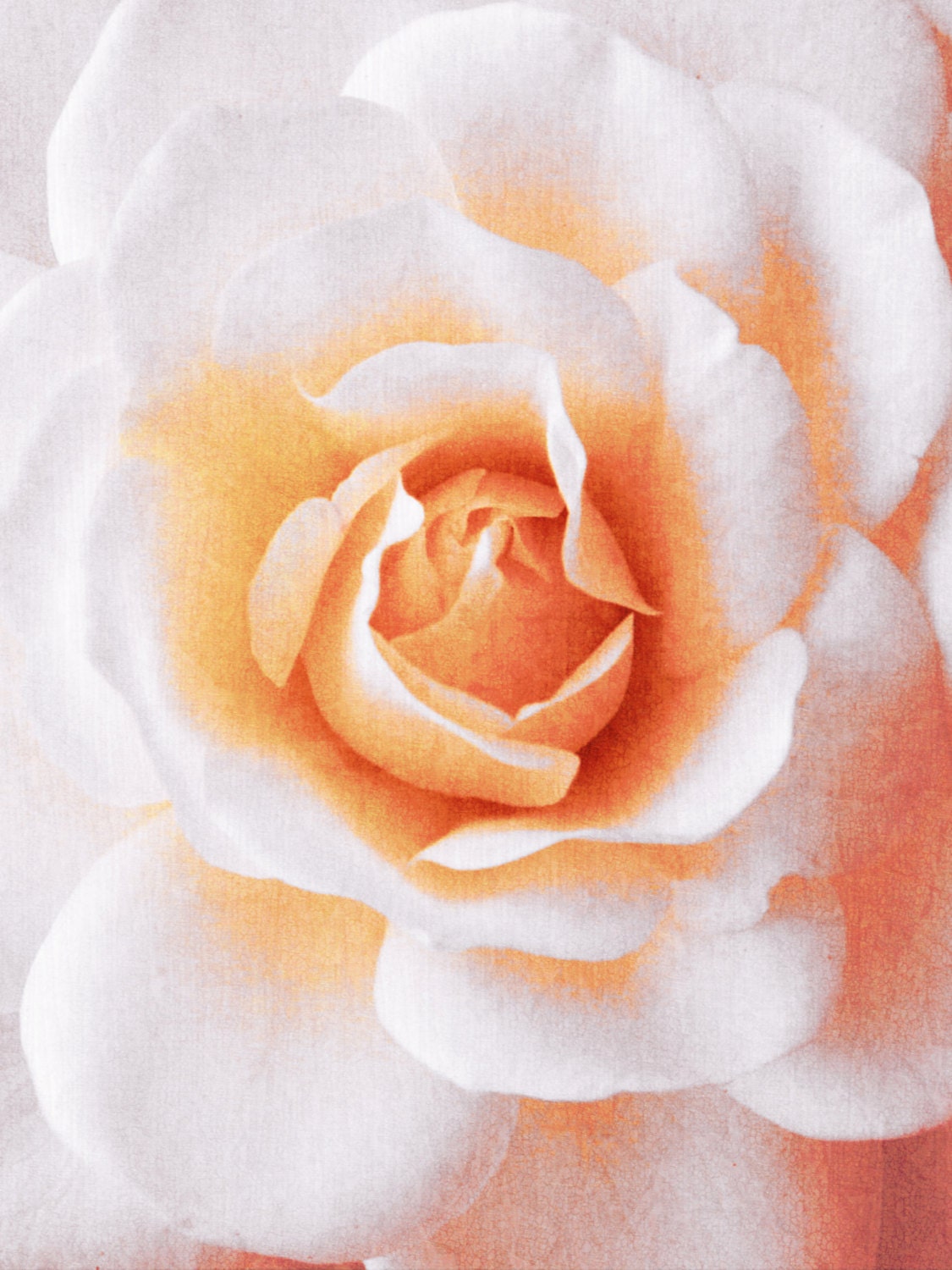 Good Morning Rose Tile Mural Painting Back Splash Kitchen Home - Etsy