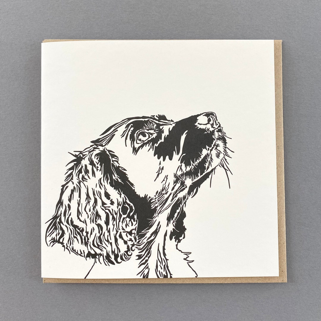 Springer Spaniel Dog Card Birthday Card Letterpress Cards Springer Card ...