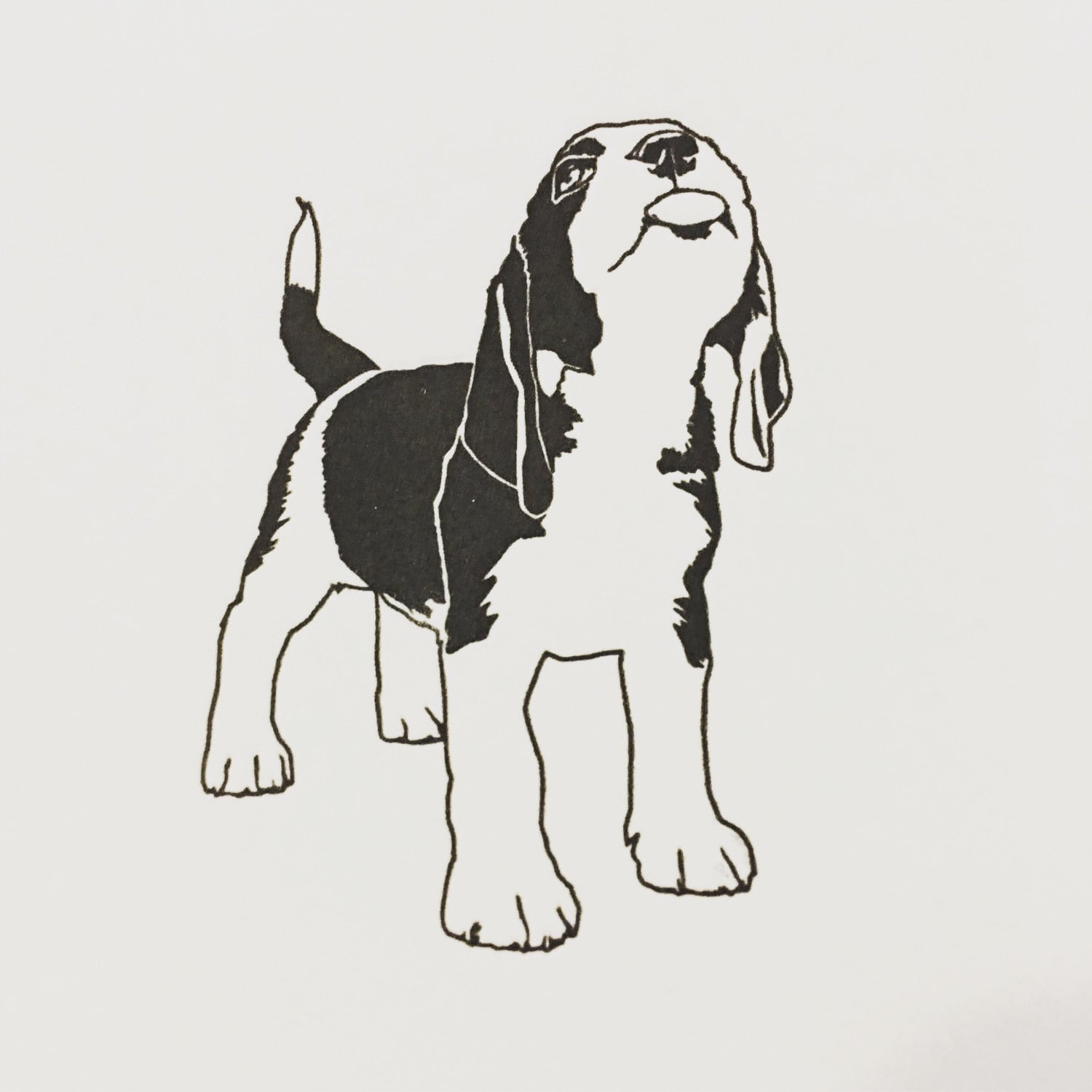 Beagle Puppy Card Thank You Cards Letterpress Note Cards | Etsy