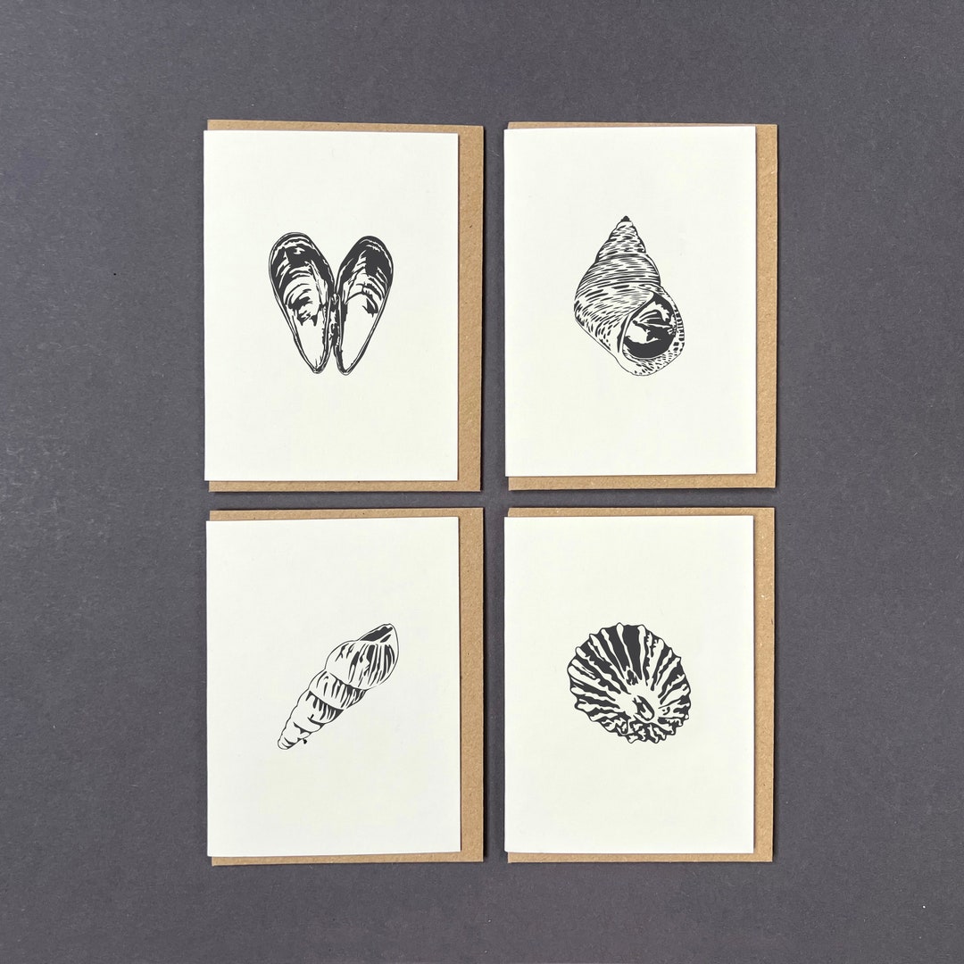 Seaside Treasures Shell Greetings Cards Multi Pack Letterpress Cards ...