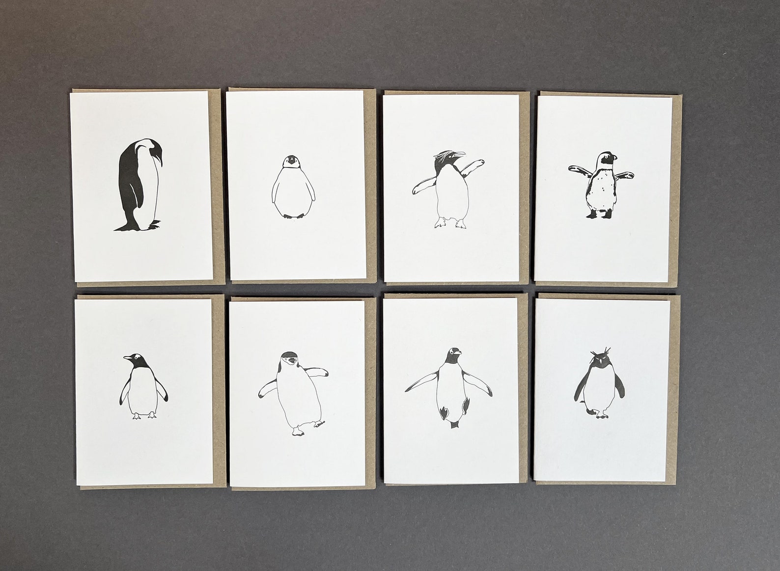 African Penguin Congratulations Card African Penguin Card - Etsy
