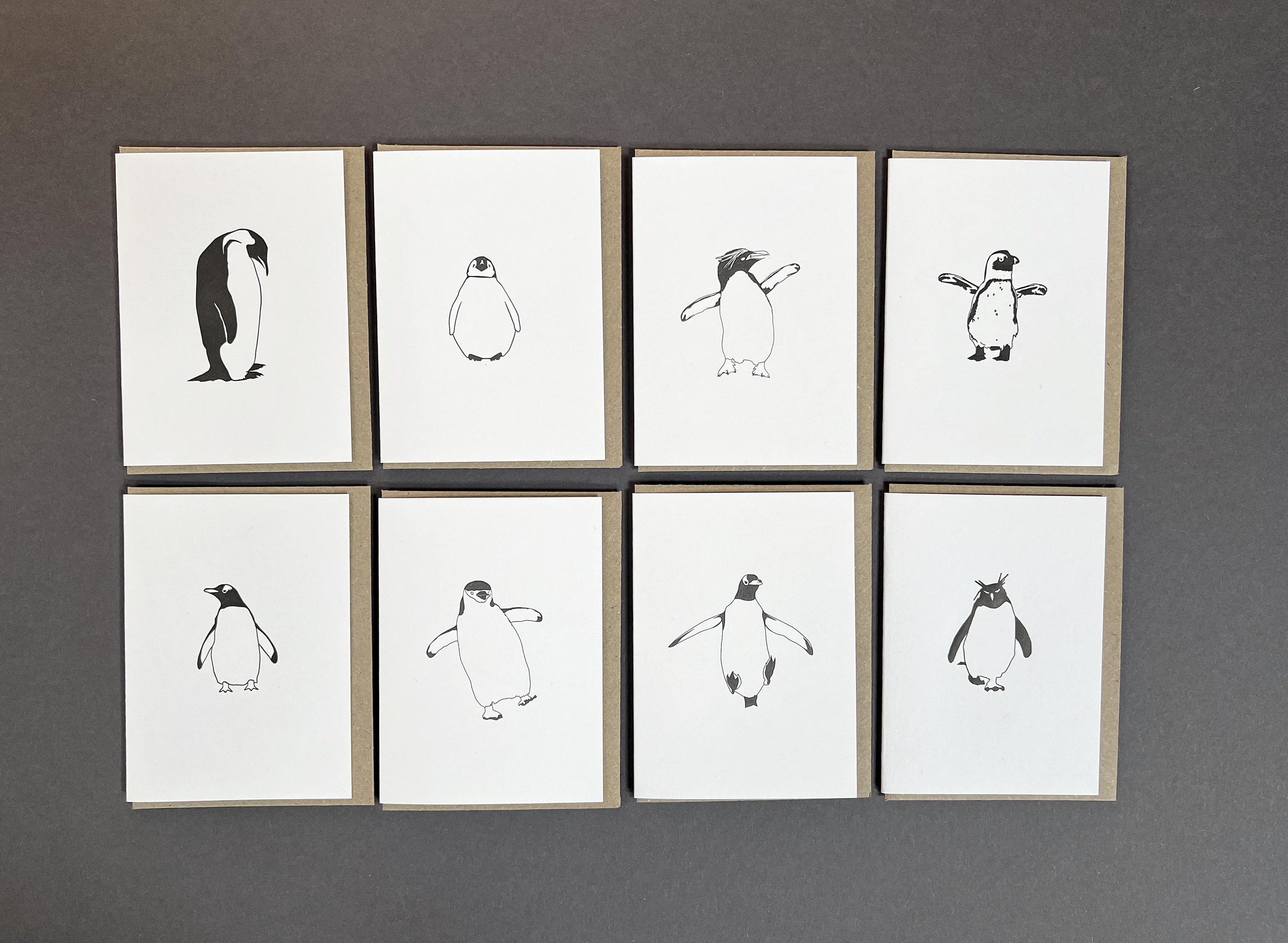 African Penguin Congratulations Card African Penguin Card - Etsy UK