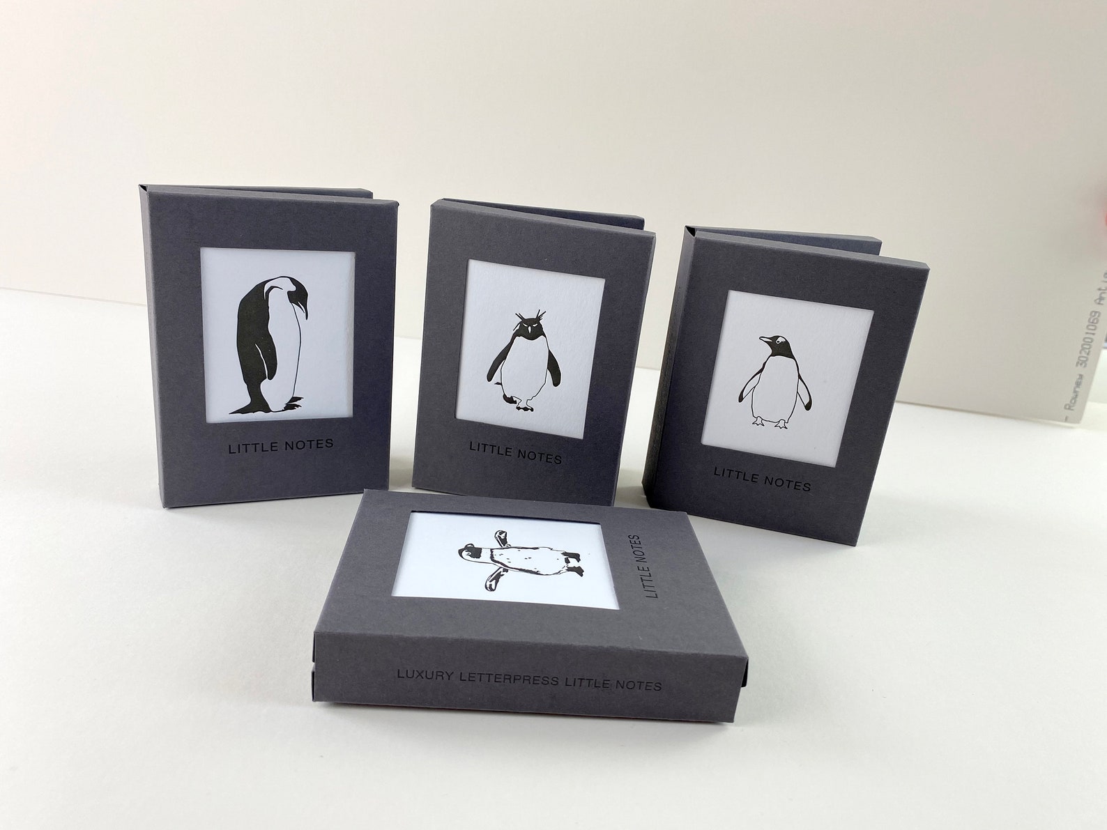African Penguin Congratulations Card African Penguin Card - Etsy