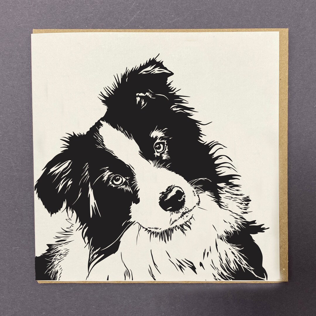 Border Collie Card Dog Card Collie Birthday Card - Etsy