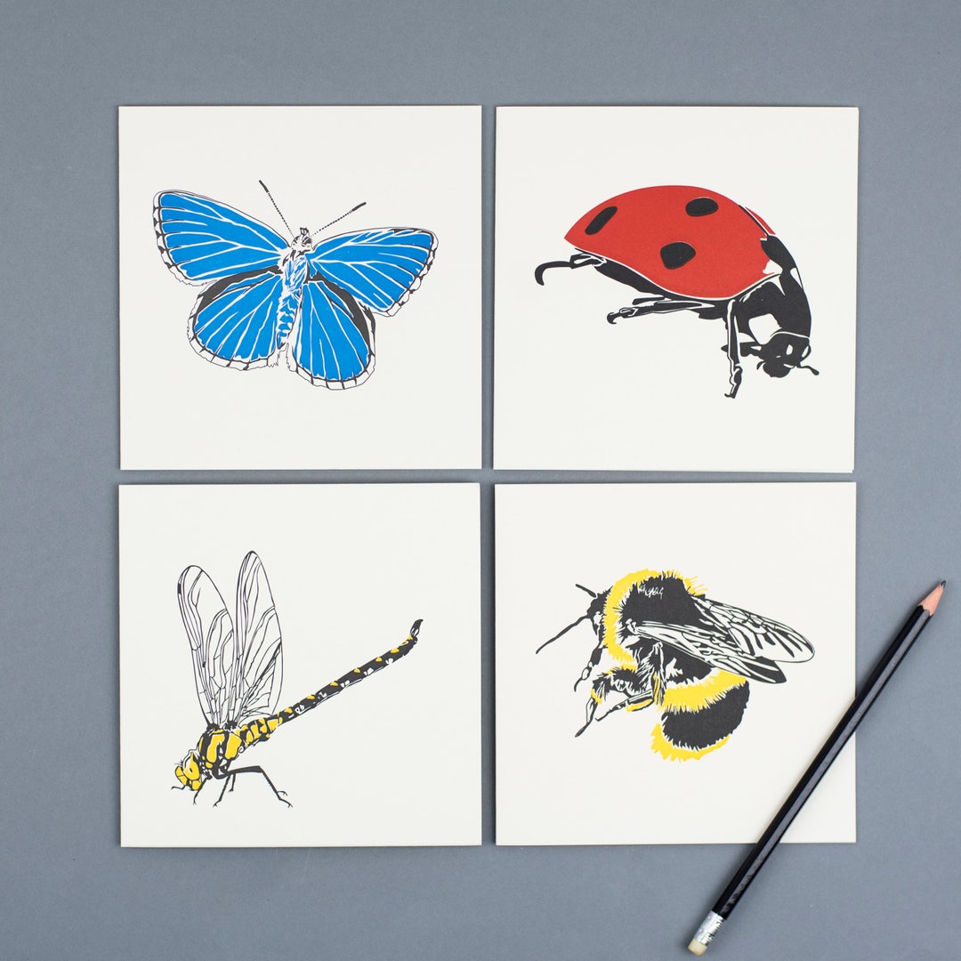 Insects Card Pack Blank Card Set Letterpress Insects Prints Greetings ...