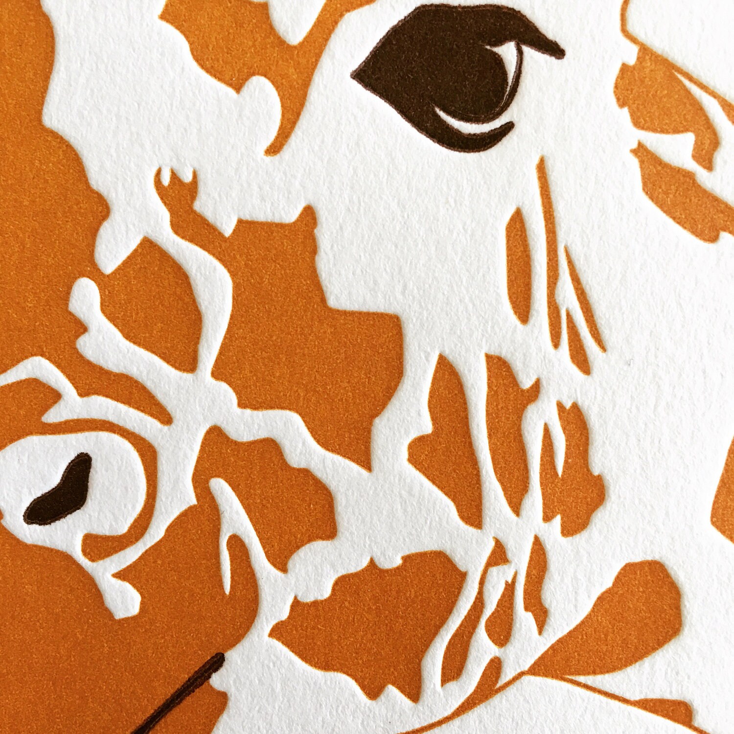 Giraffe Card Safari Animals Luxury Cards Giraffe Print - Etsy