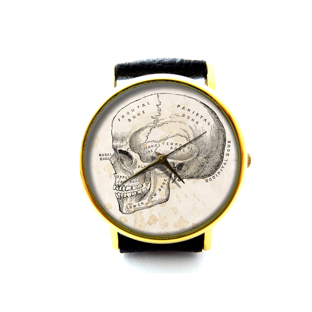 Vintage Skull Diagram Leather Watch, Anatomy Art Watch, Skull Watch ...