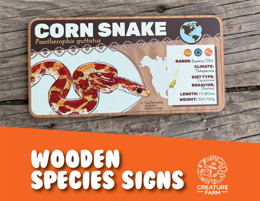 Corn Snake Species Sign - Wooden Reptile Enclosure Tag - Exotic Pet ...