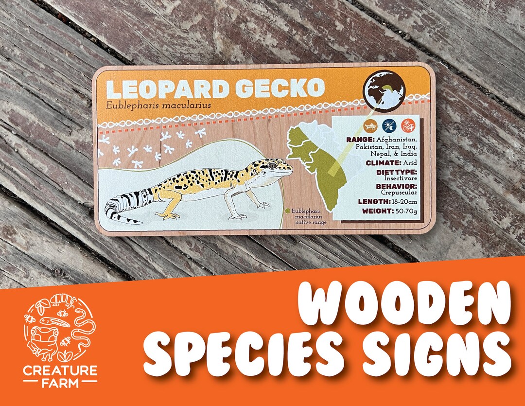 Wooden LEOPARD GECKO Zoological Species Sign Full Color Reptiles Ball ...