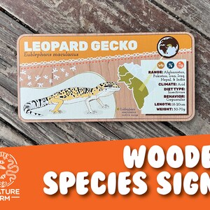 Wooden LEOPARD GECKO Zoological Species Sign Full Color Reptiles Ball ...