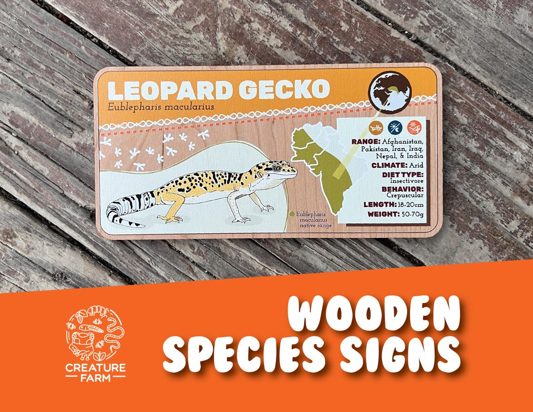 Leopard Gecko Species Sign: Wooden Reptile Enclosure Decor - Etsy