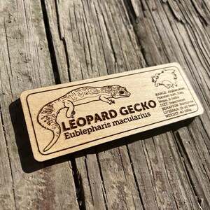 Custom Laser Engraved Wooden Animal Enclosure Sign: Reptile & Zoo ...