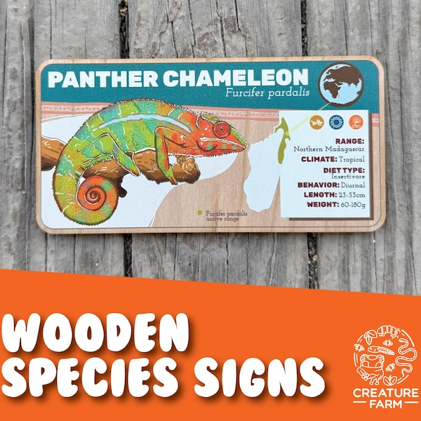 Reptile Enclosure - Etsy