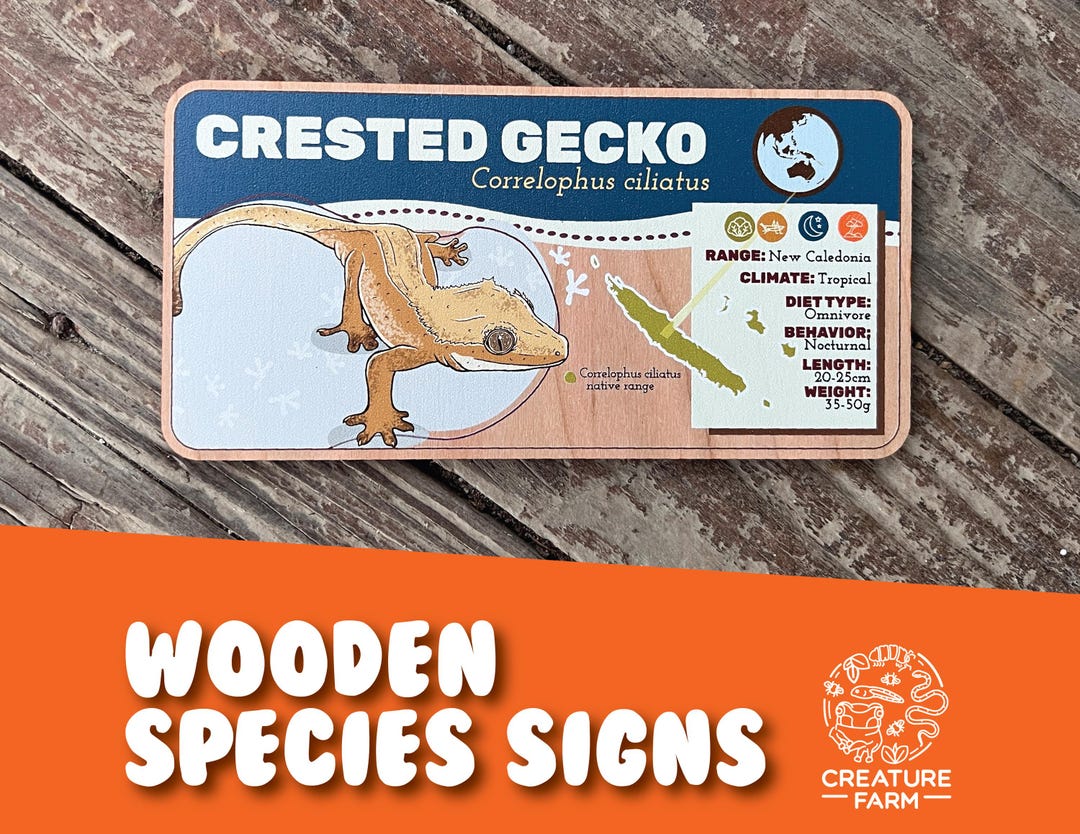 Crested Gecko Species Sign: Wooden Reptile Enclosure Decor - Etsy