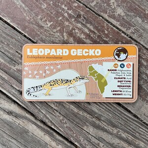 Wooden LEOPARD GECKO Zoological Species Sign Full Color Reptiles Ball ...