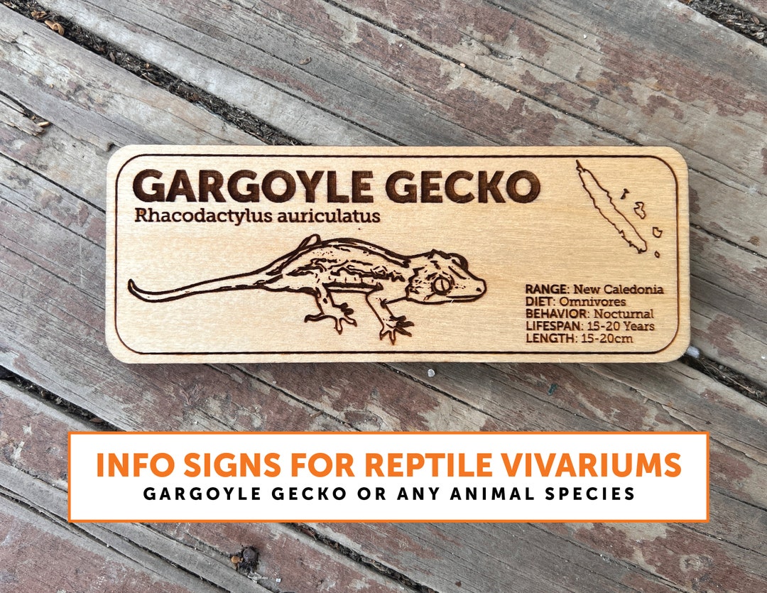 Gargoyle Gecko Zoological Species Sign | ANY SPECIES | Wooden ...