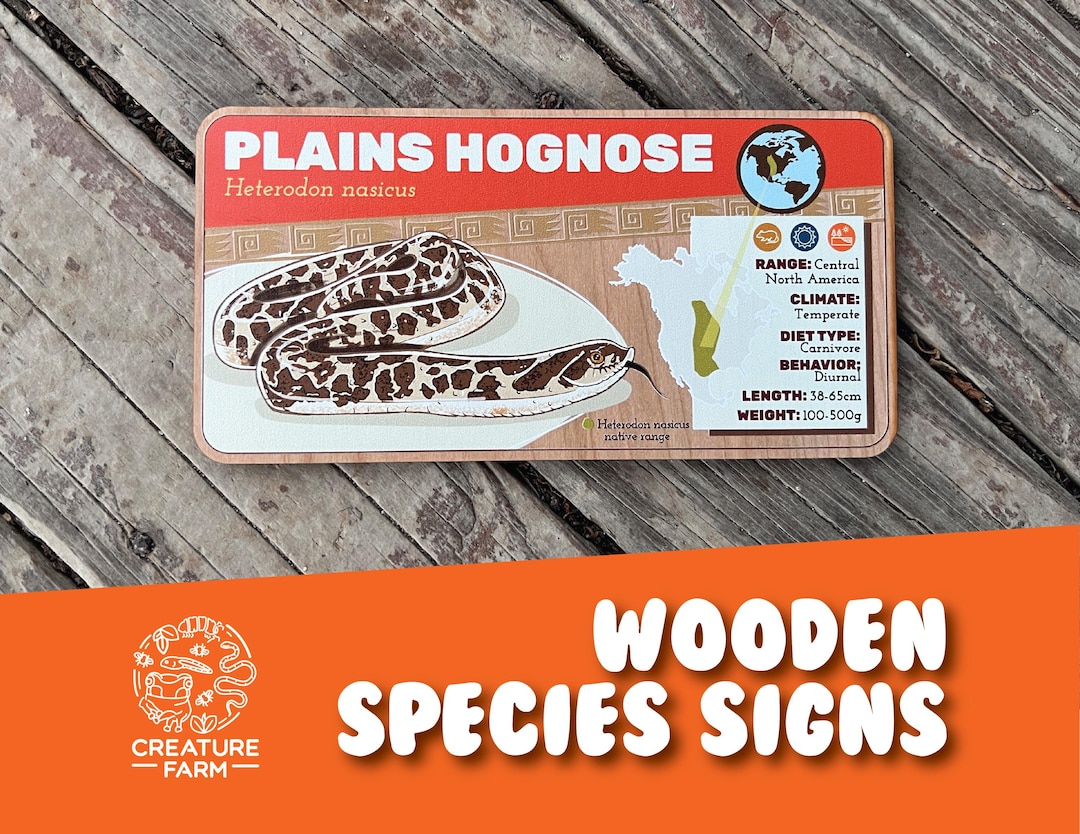 Plains Hognose Snake Species Sign - Wooden Reptile Enclosure Tag ...