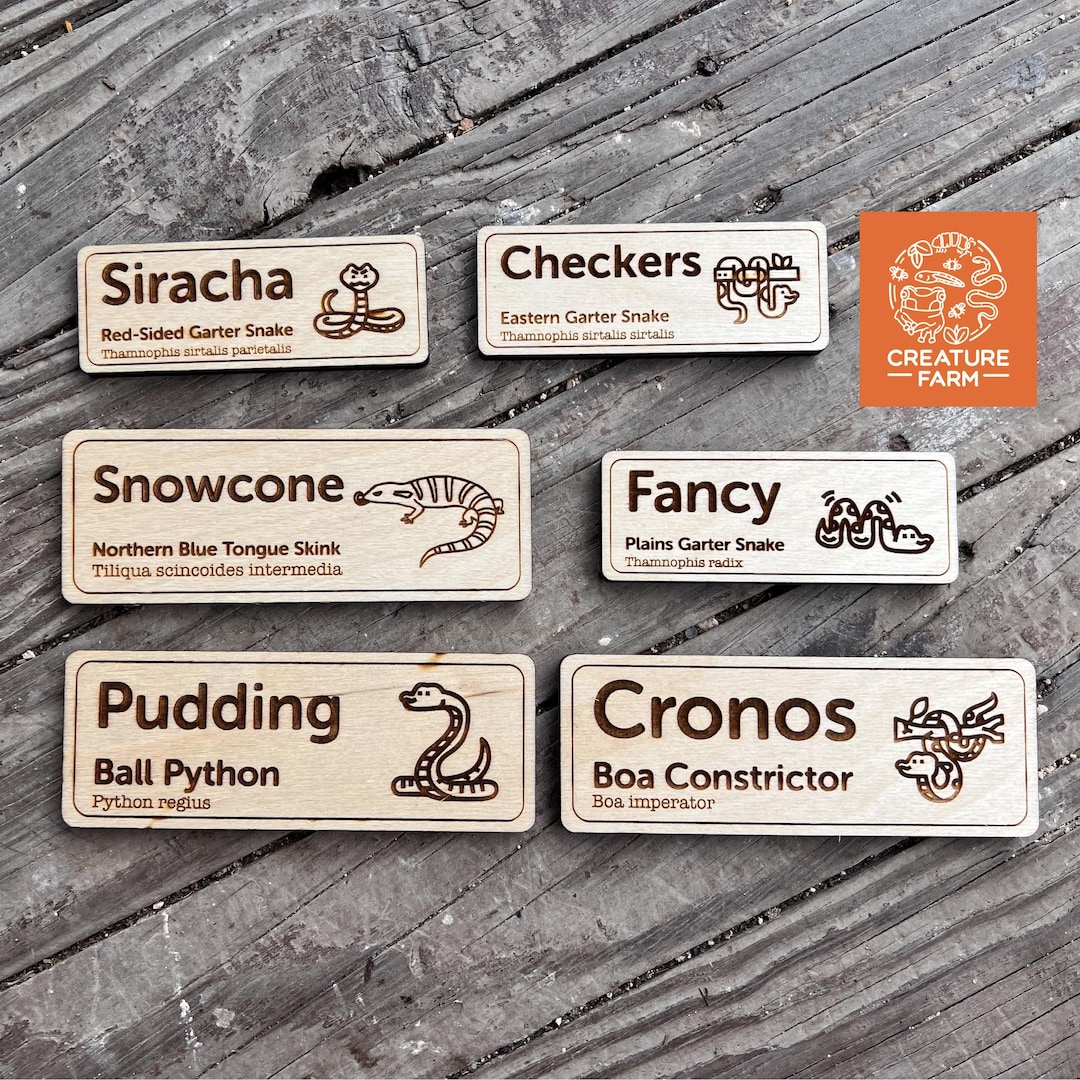Custom Wooden Reptile Name Tag: Reptile, Snake, Frog, Gecko - Etsy