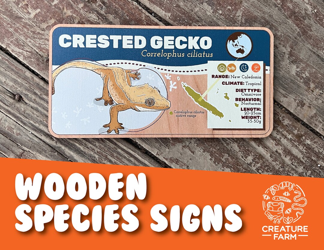 Wooden CRESTED GECKO Zoological Species Sign Full Color Reptiles Ball ...