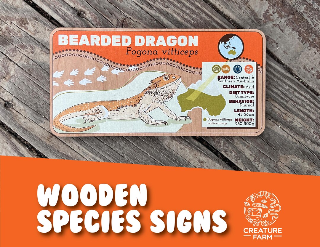 Bearded Dragon Species Sign - Wooden Reptile Enclosure Tag - Exotic Pet ...