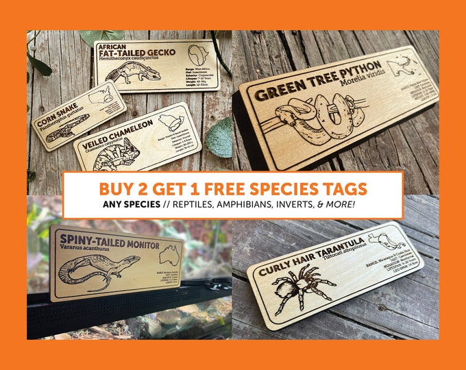 LARGE Custom Invert/reptile Enclosure Labels - ANY Species, ANY Common ...