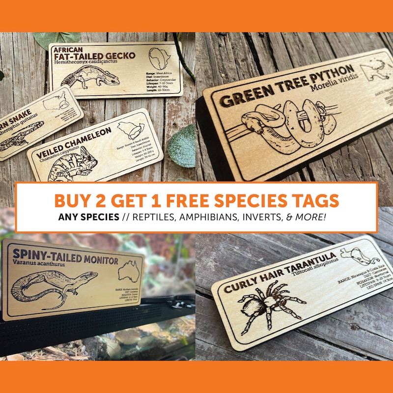 Wooden Reptile Signs - Etsy